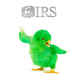 Instagram | Internal Revenue Service